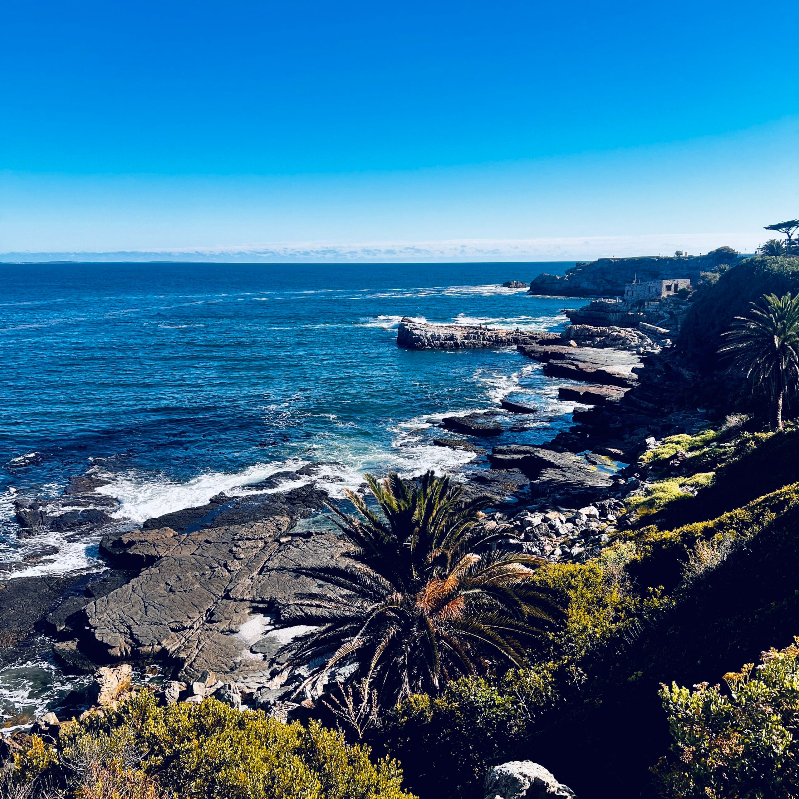 Hermanus Travel Guide - Simply Delicious